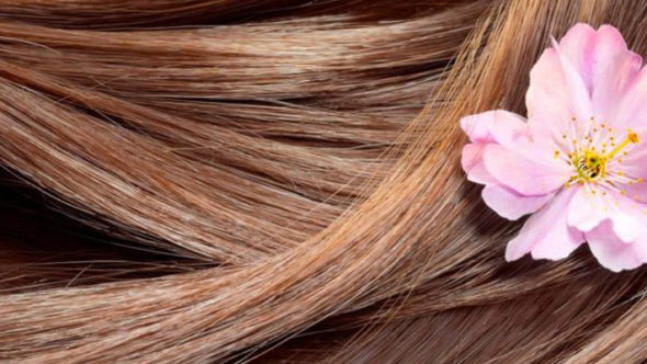 Pourquoi opter pour la coloration bio